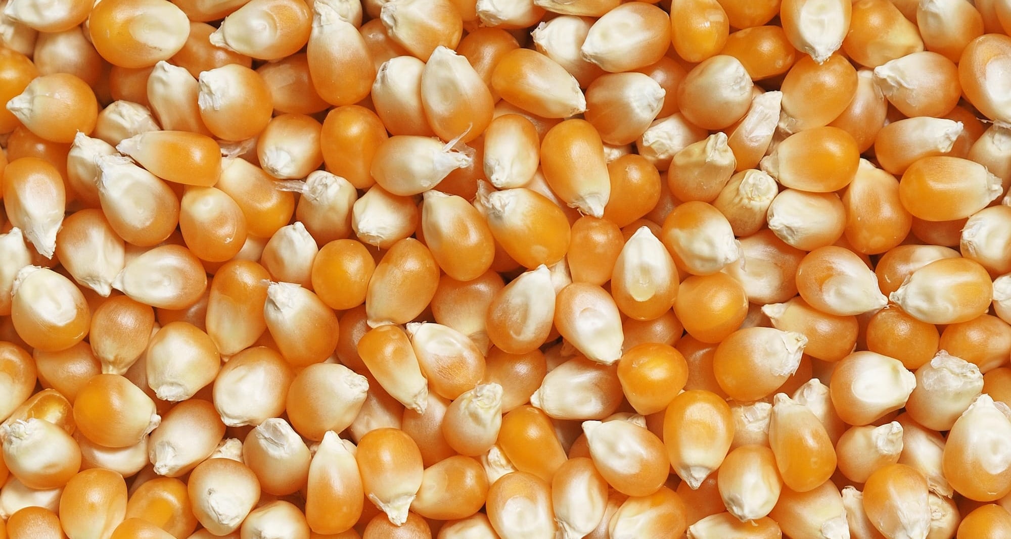 Access Management: What is the IAAA Framework?